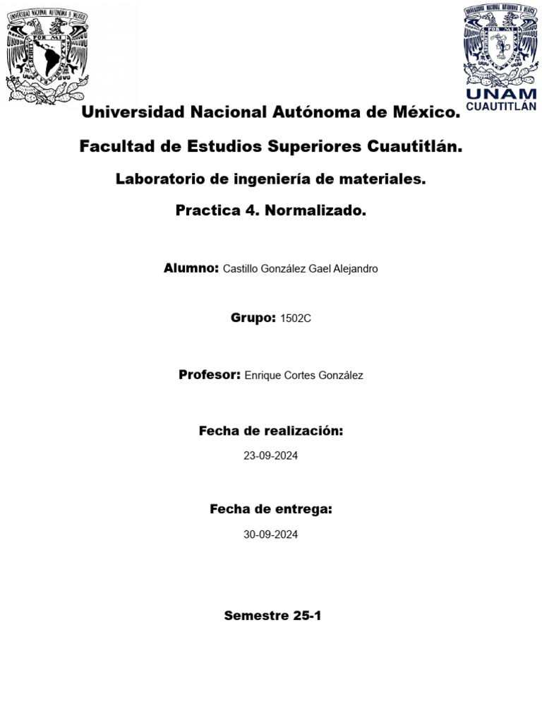 Practica 4 Normalizado | PDF | Tratamiento a base de calor | Acero