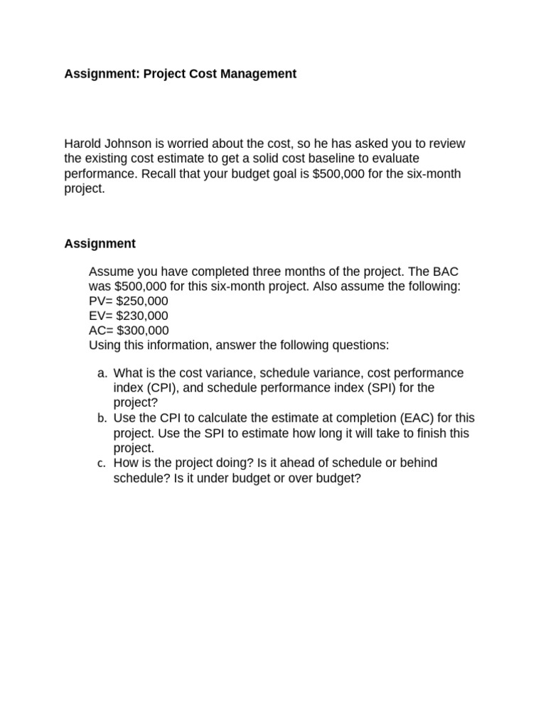 Assignment 3 - Project Cost Management | PDF