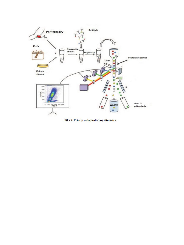 PC Slika | PDF