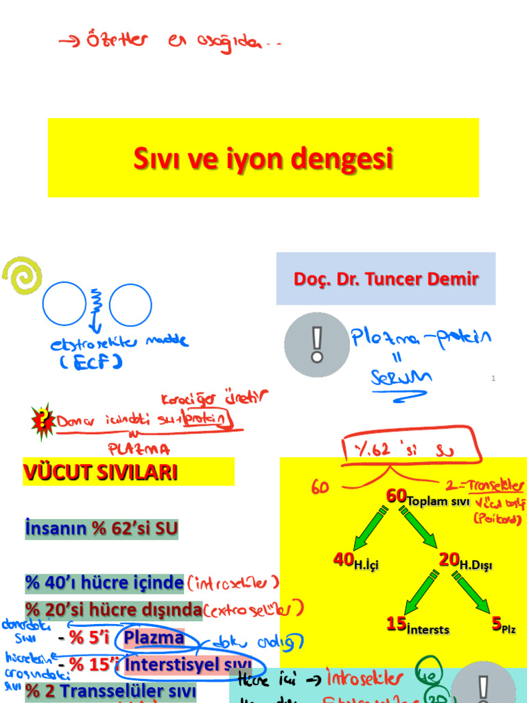 SLAYT Iyon Ve Sıvı | PDF