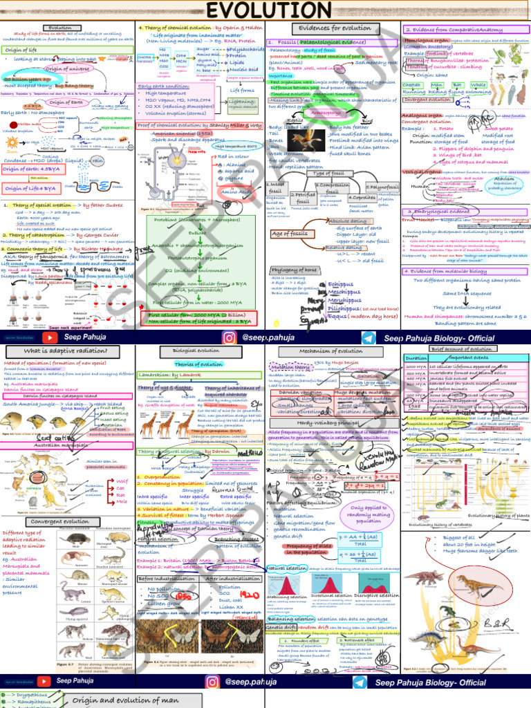 Evolution - one shot_watermark | PDF | Natural Selection | Homo
