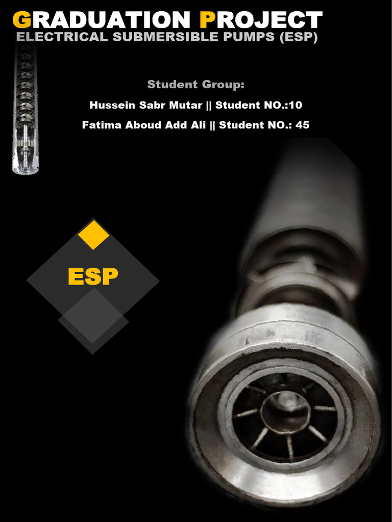 Electrical Submersible Pumps | PDF | Pump | Mechanical Engineering