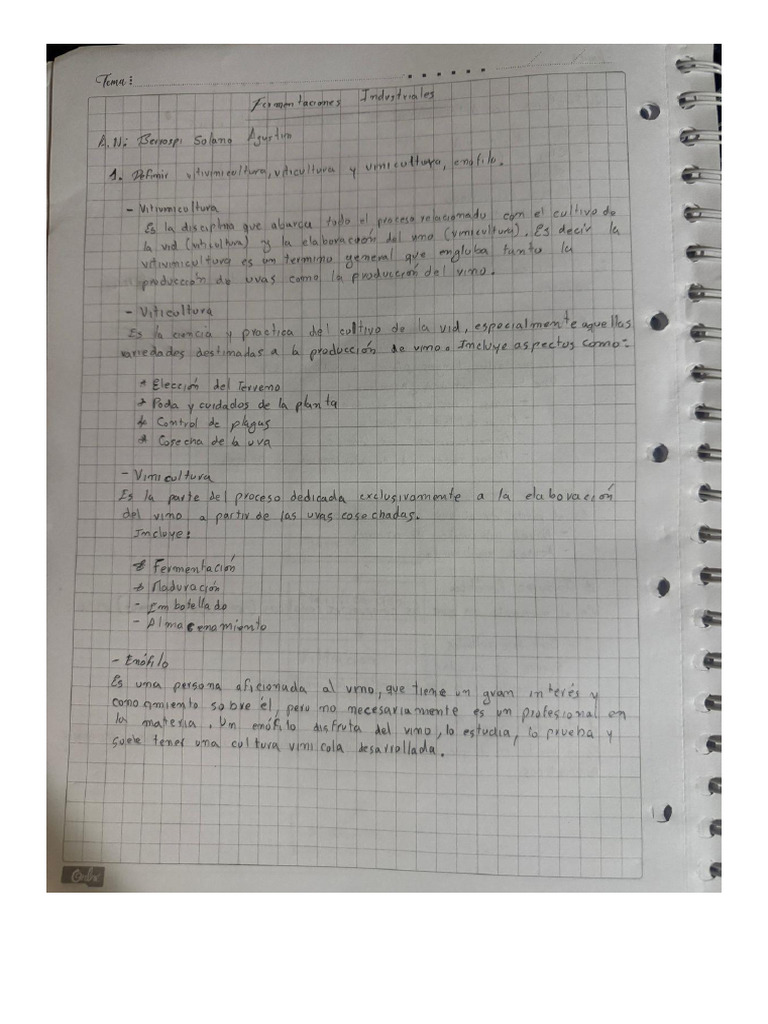 Berrospi Solano Agustin Rodrigo | PDF