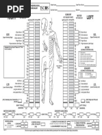 ASIA Impairment Scale for Spinal Injury | PDF | Anatomical Terms Of ...
