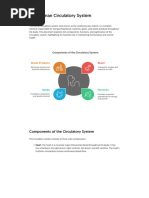 Human vs Fish Circulatory Systems | PDF | Circulatory System | Heart