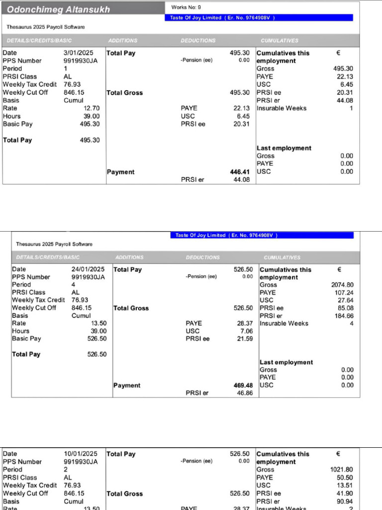 Payslip | PDF