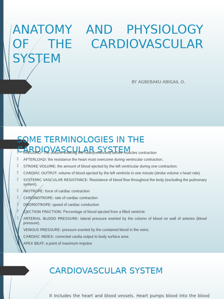 Cardiovascular System Anatomy & Physiology | PDF | Heart Valve | Heart