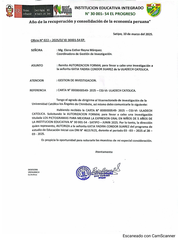 ofici aceptado - PROGRESO | PDF