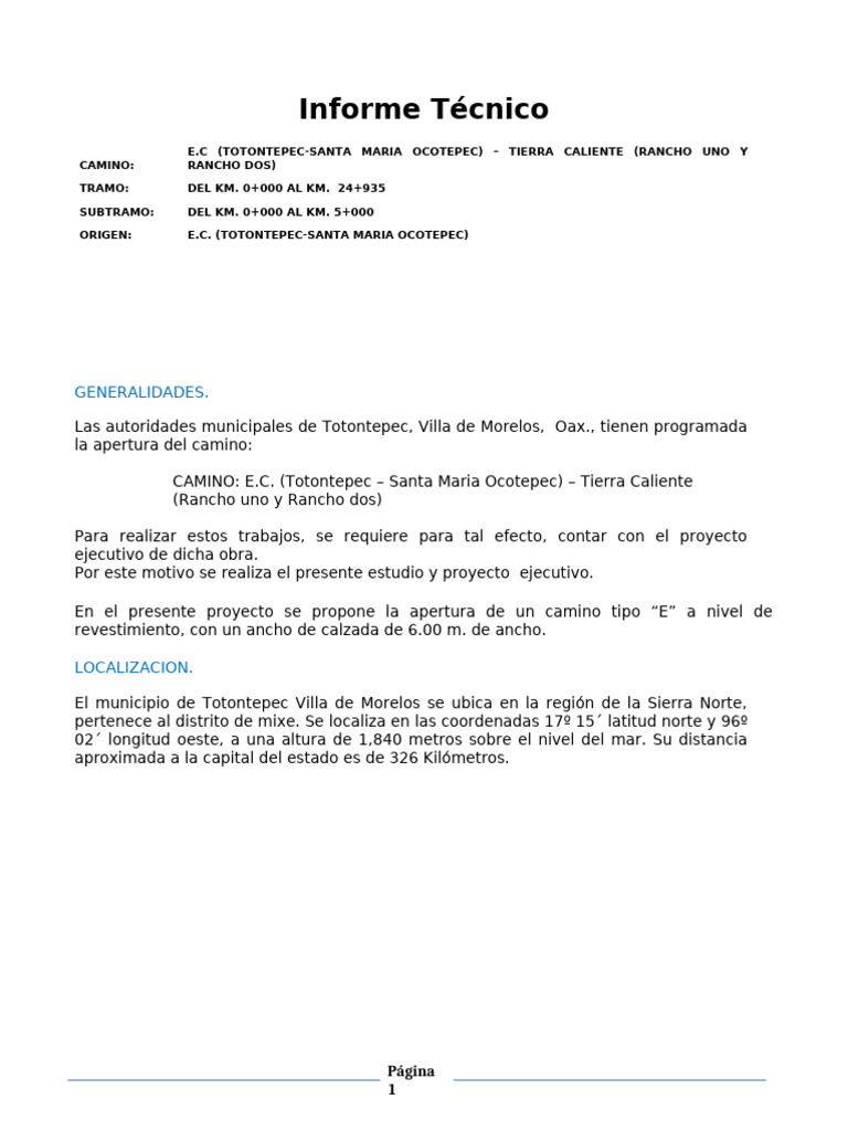 Informe Tecnico | PDF