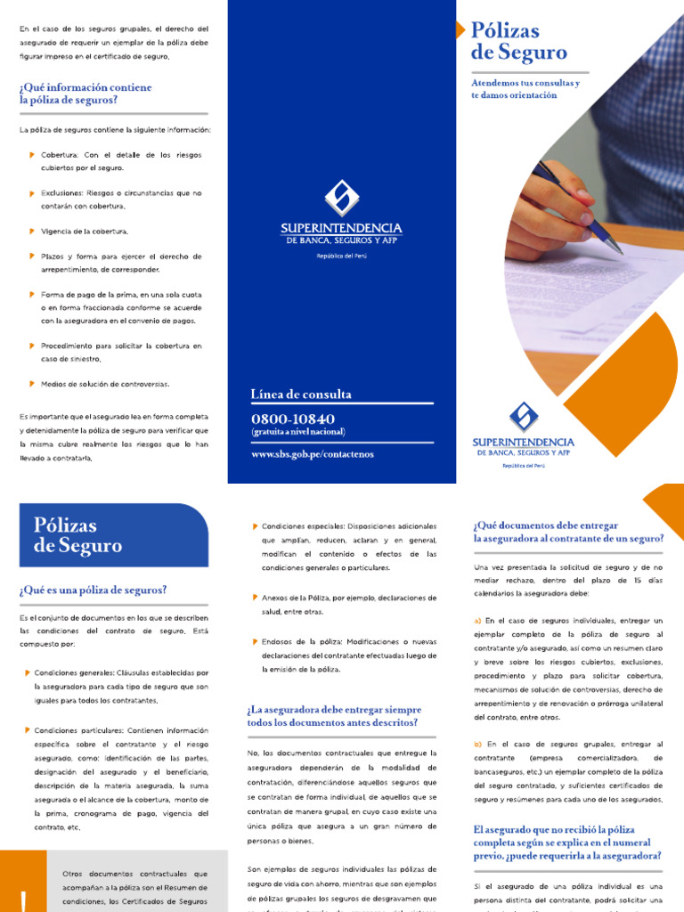 Triptico Poliza de Seguros | PDF