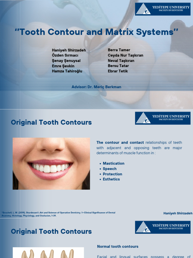 'Tooth Contour and Matrix Systems'' | PDF | Dental Anatomy | Human Anatomy