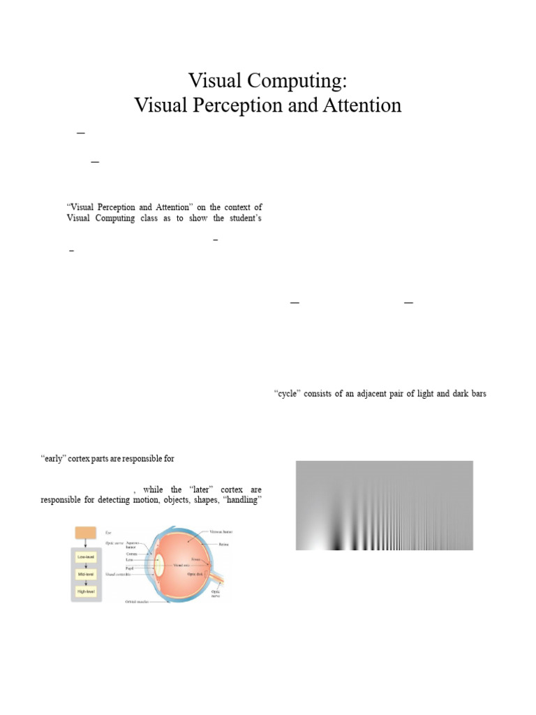 Visual Perception and Attention | PDF | Contrast (Vision) | Visual Perception