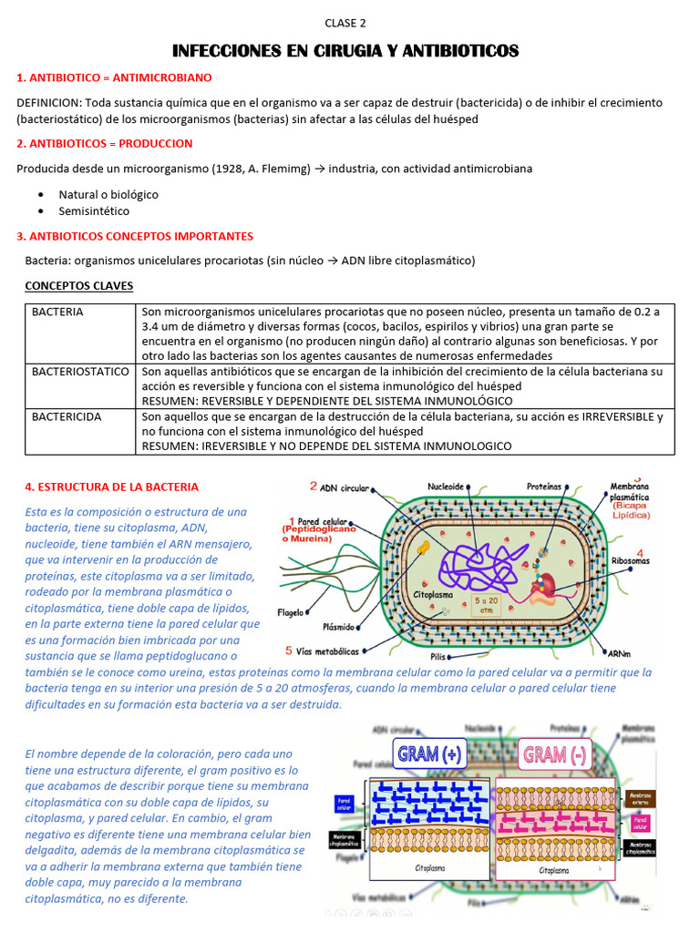 Clase 2 - CX | PDF | Penicilina | Las bacterias