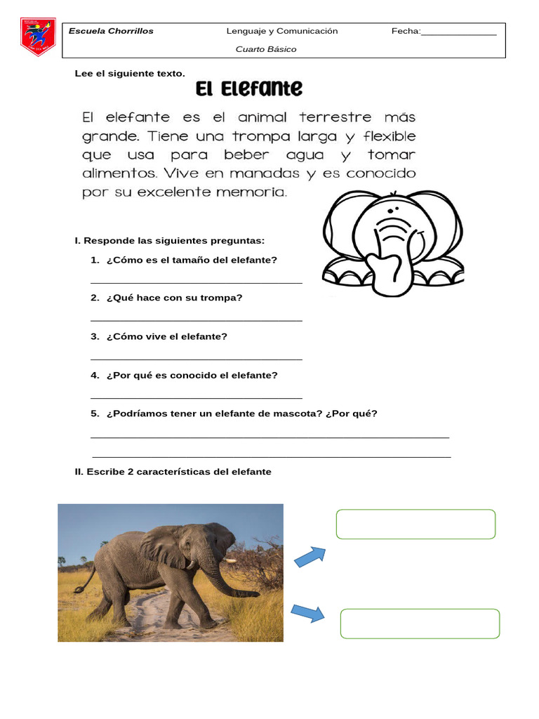 Lectura Corta - El Elefante | PDF