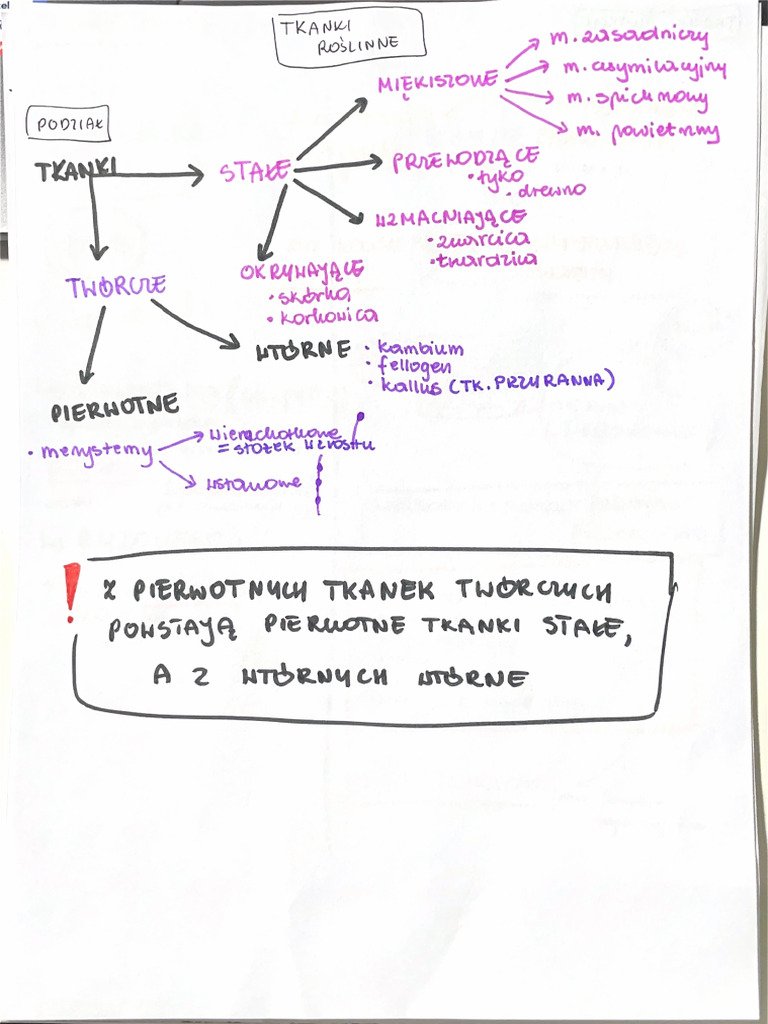 Różnorodność Roślin Schemat-1 | PDF