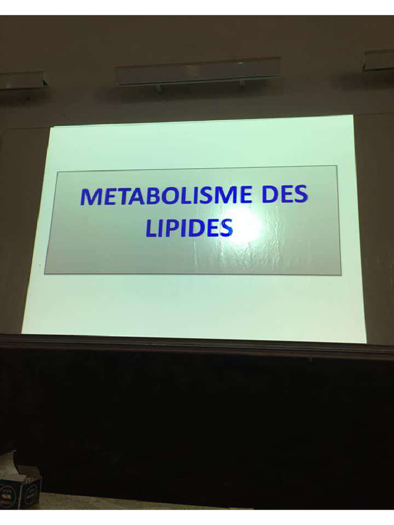 01-Biosynthèse Des Lipides 2020 | PDF
