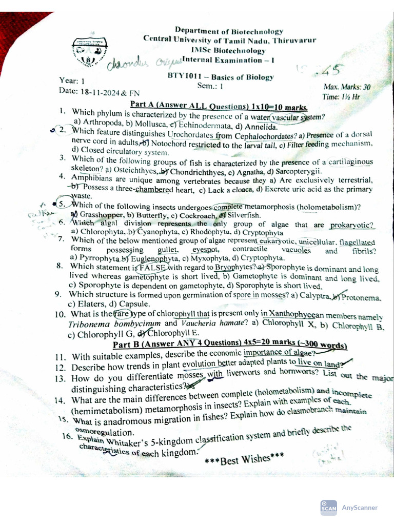 Internal Question Papers 2024 | PDF