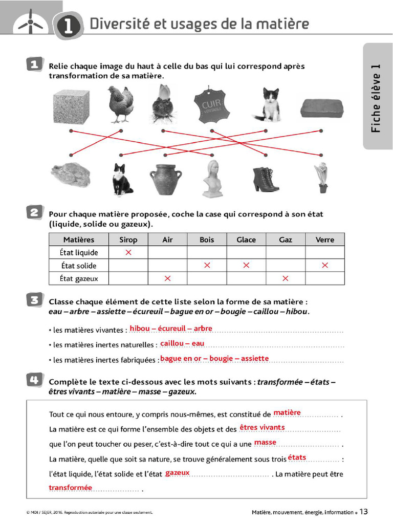 Sciences & Technologie CM Corrigés | PDF