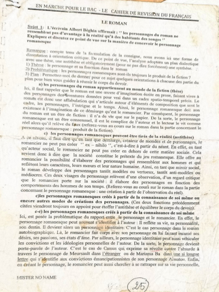 Roman en Bac | PDF
