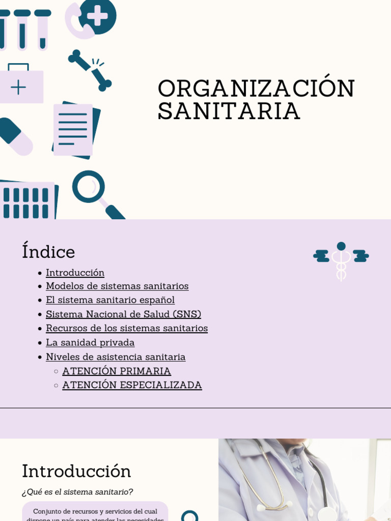 Organización Sanitaria | PDF | Cuidado de la salud | Sistema de salud