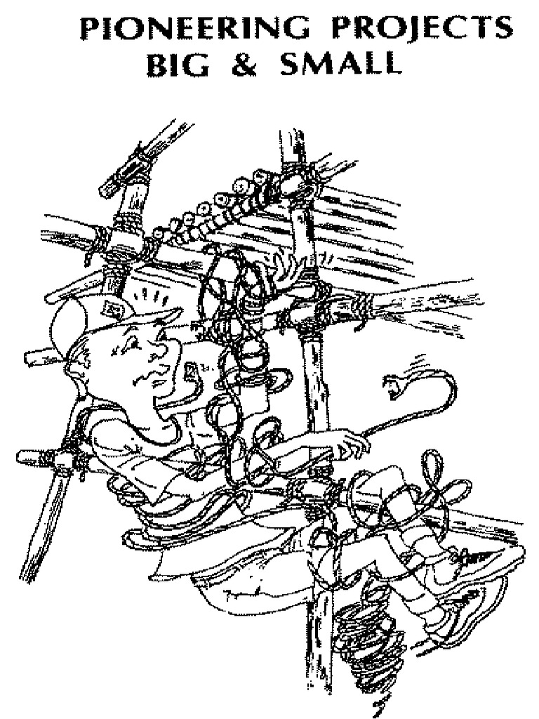 Pioneering Projects Big And Small | PDF