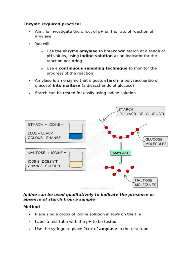 Enzyme Required Practical | PDF | Starch | Enzyme