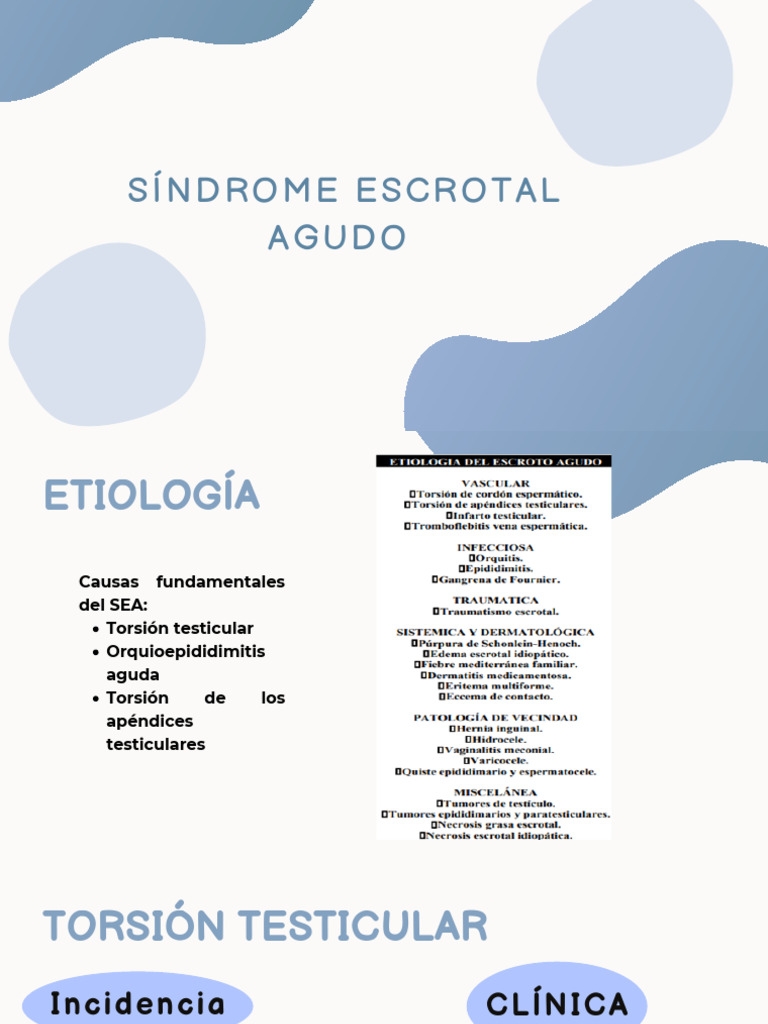 Síndrome Escrotal Agudo Diagnóstico Y Tratamiento Pdf Enfermedades