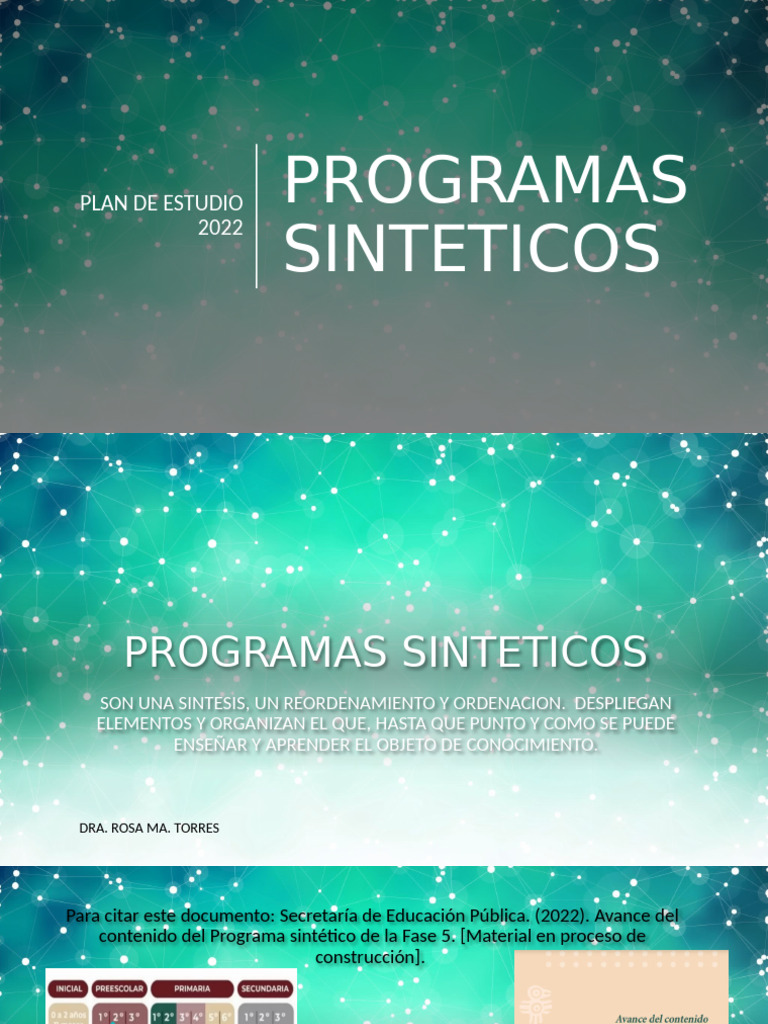 Programas Sinteticos | PDF