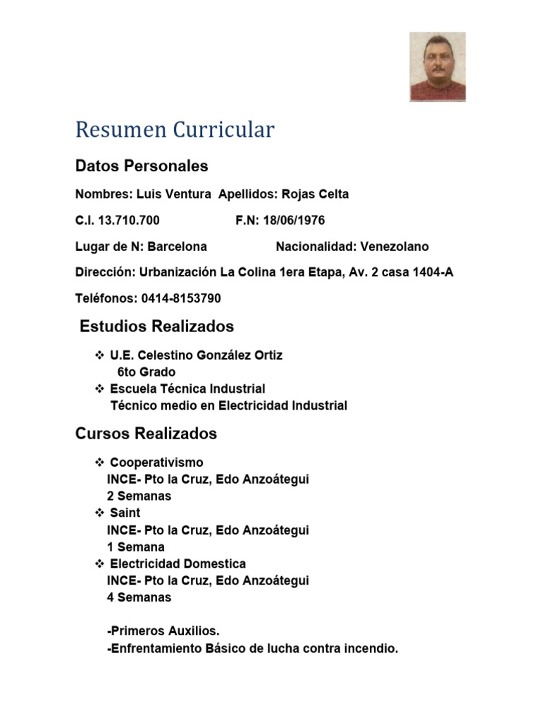 Curriculum Luis Ventura | PDF