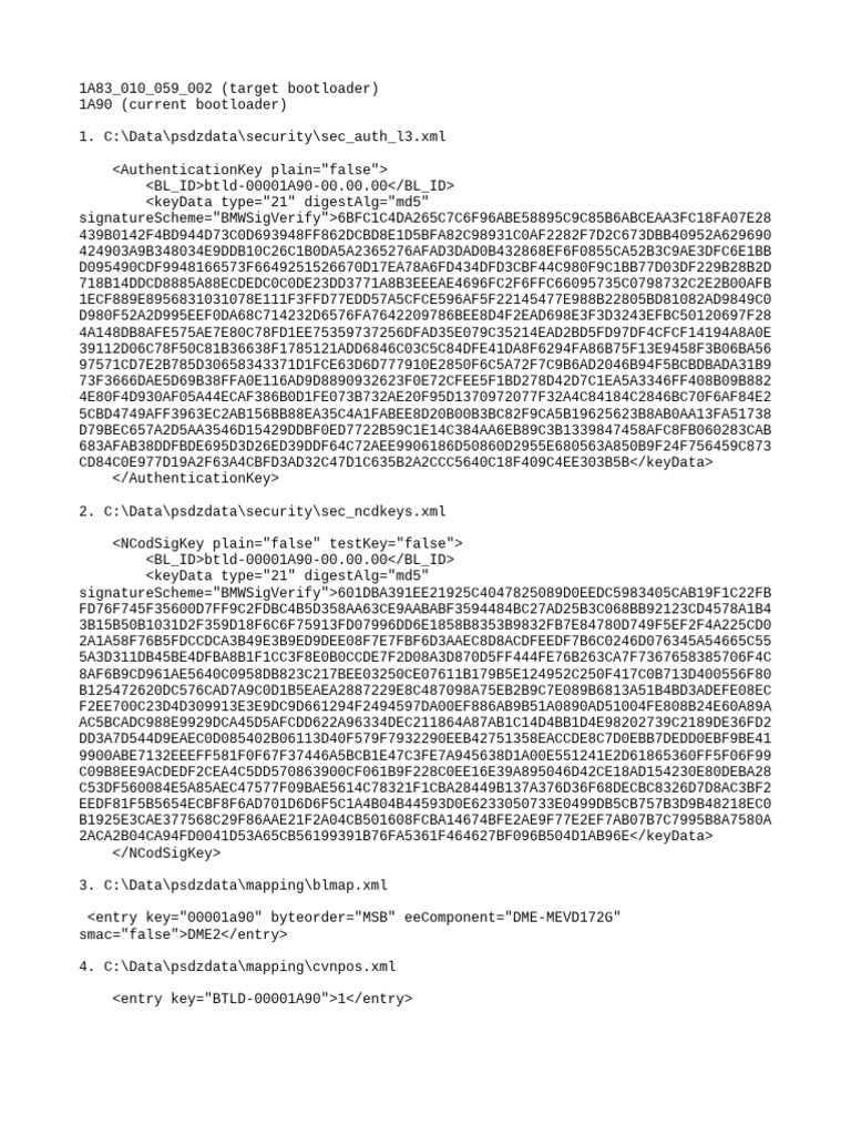 DIY ESYS SVT IST could not be read missing bootloader | PDF | Data Serialization Formats