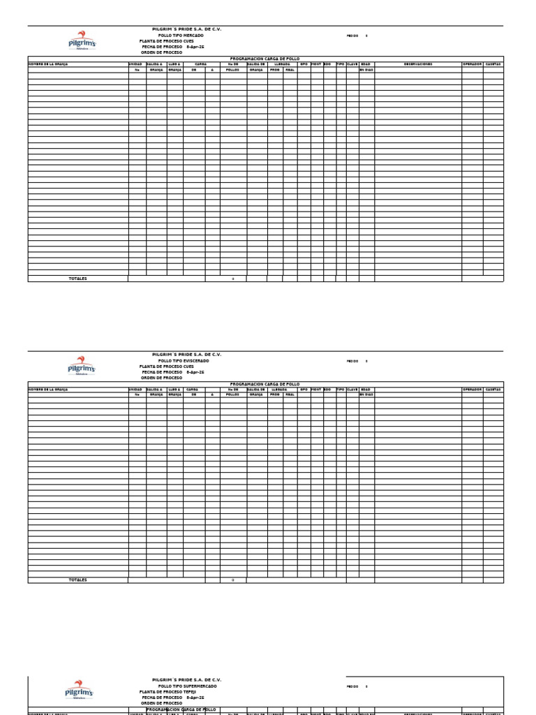 Borrador Programa | PDF