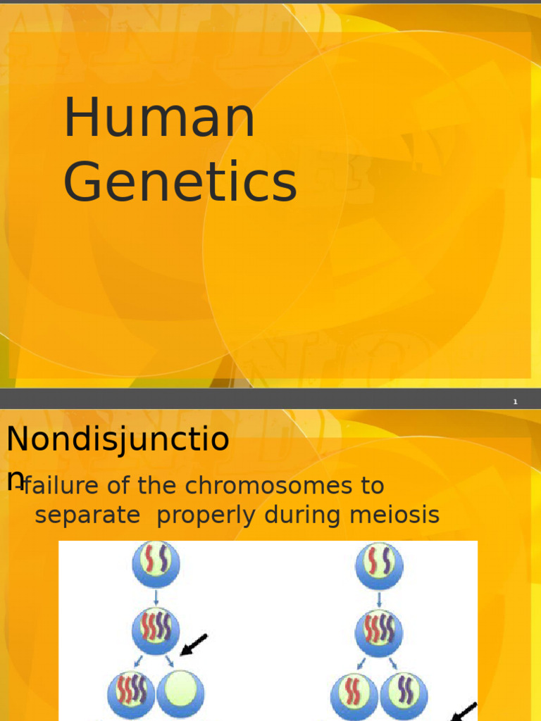 Human Genetics Notes | PDF