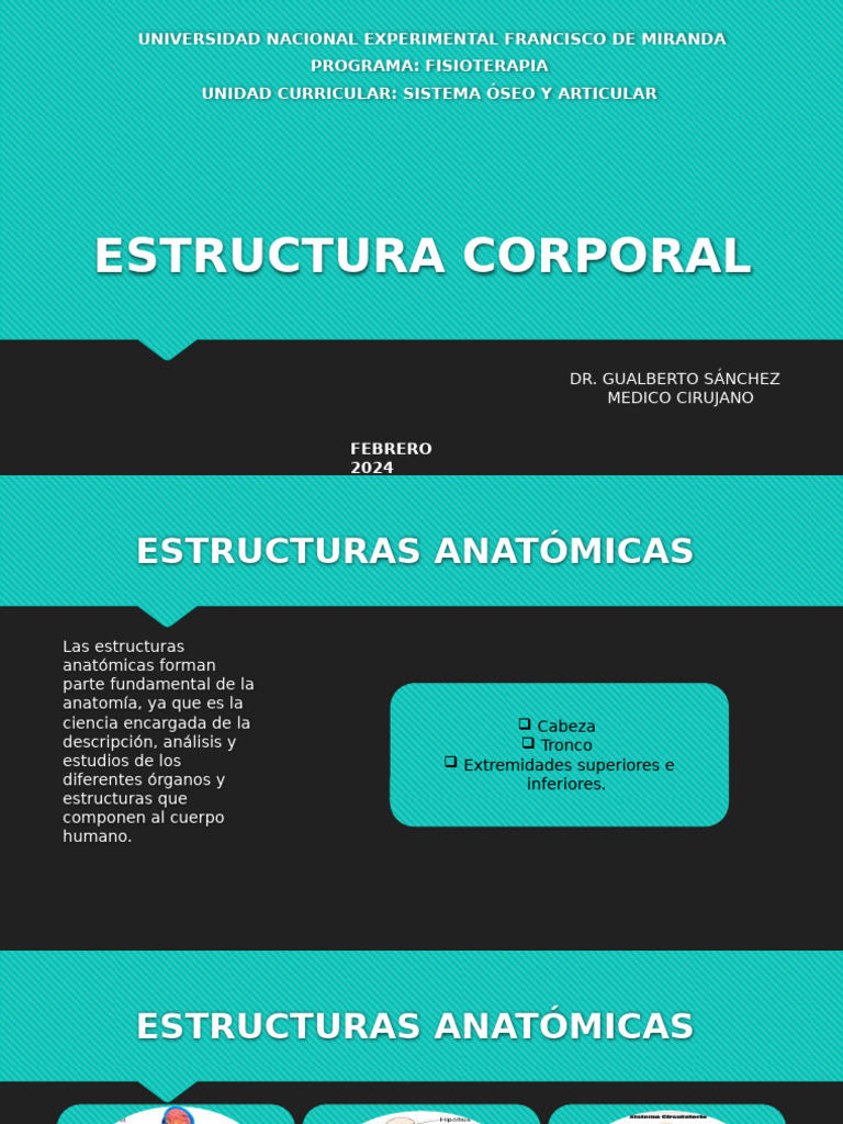 Estructura Corporal Diapo | PDF | Términos anatómicos de ubicación | Anatomía