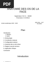 Anatomie de la Région Jugale | PDF | Tête et cou chez l'humain ...