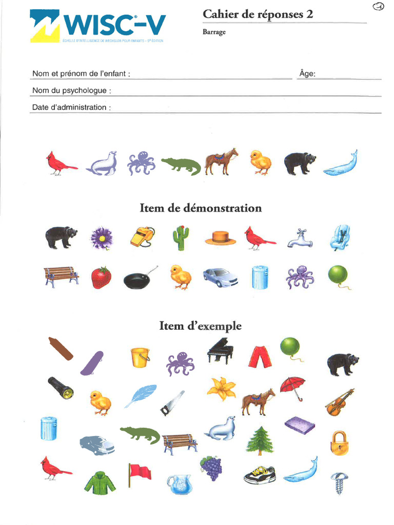 WISC V cahier de réponse 2 | PDF