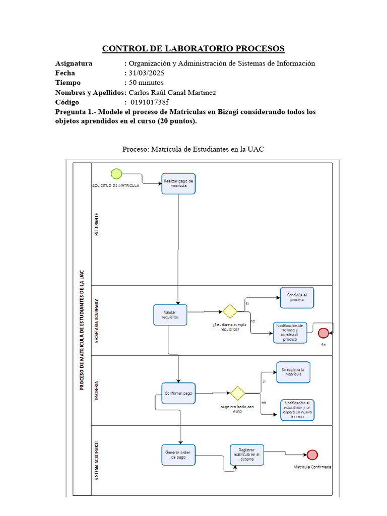 Control Ejercicio Procesos Bizagi | PDF