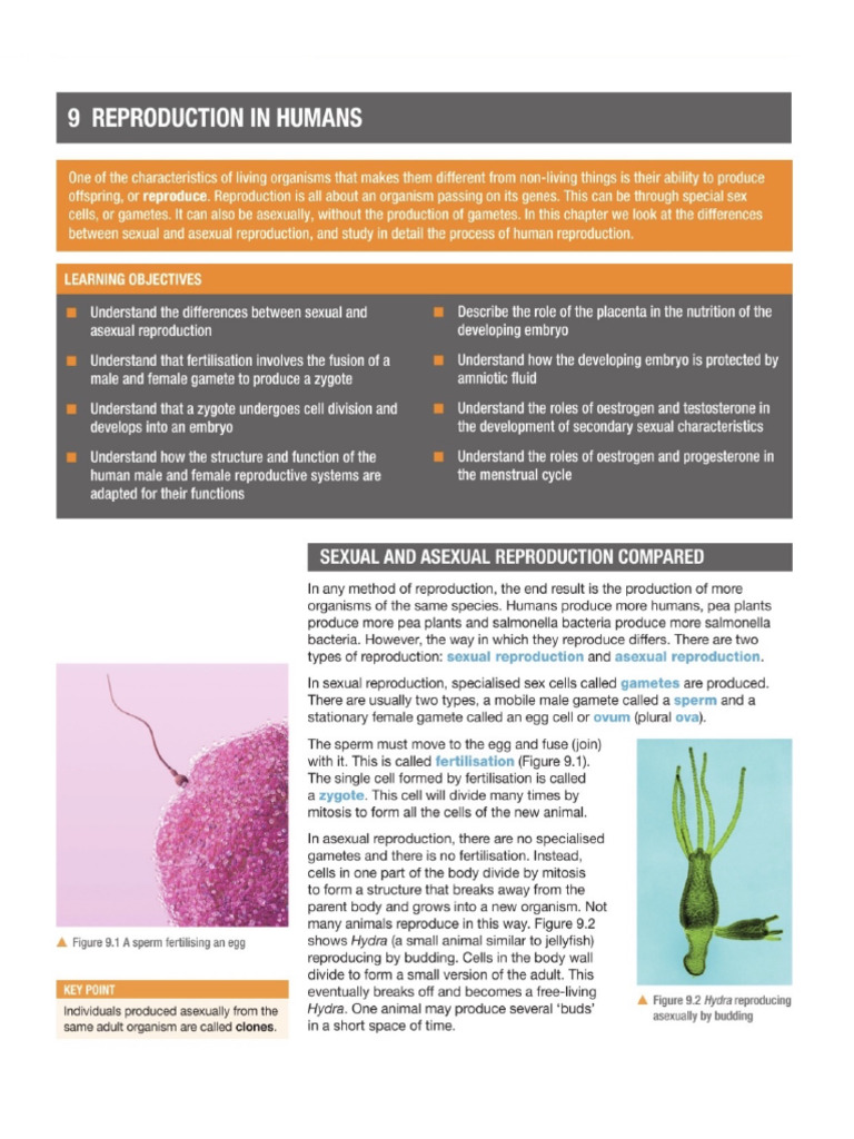 Bio Human Reproduction | PDF