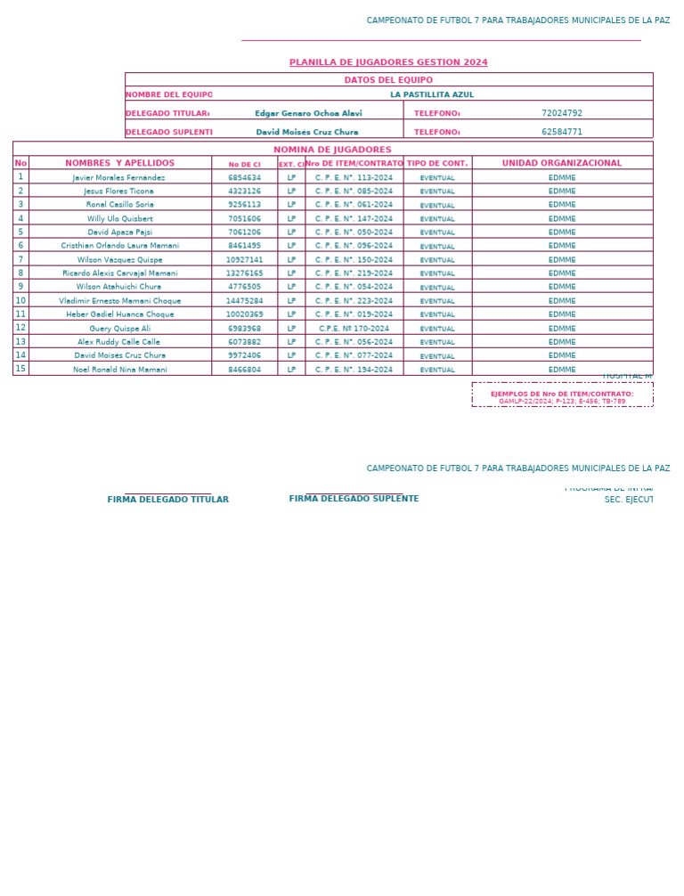 Formato Planillas Edmme | PDF