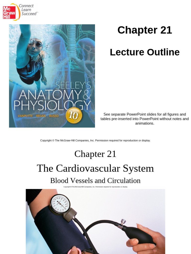 Chapt21 Lecture | PDF | Aorta | Vein