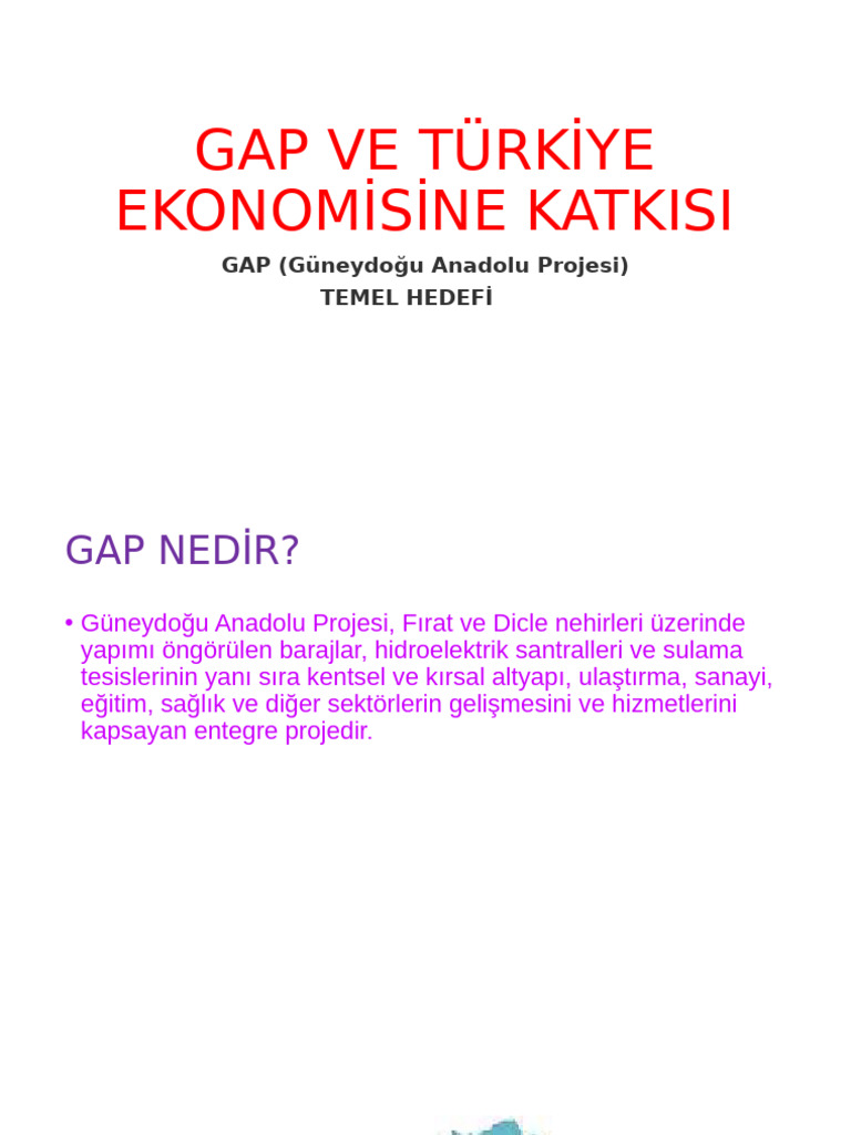 Gap Ve Türki̇ye Ekonomi̇si̇ne Katkisi | PDF
