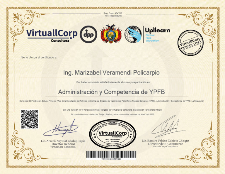 Administración y Competencia de YPFB | PDF