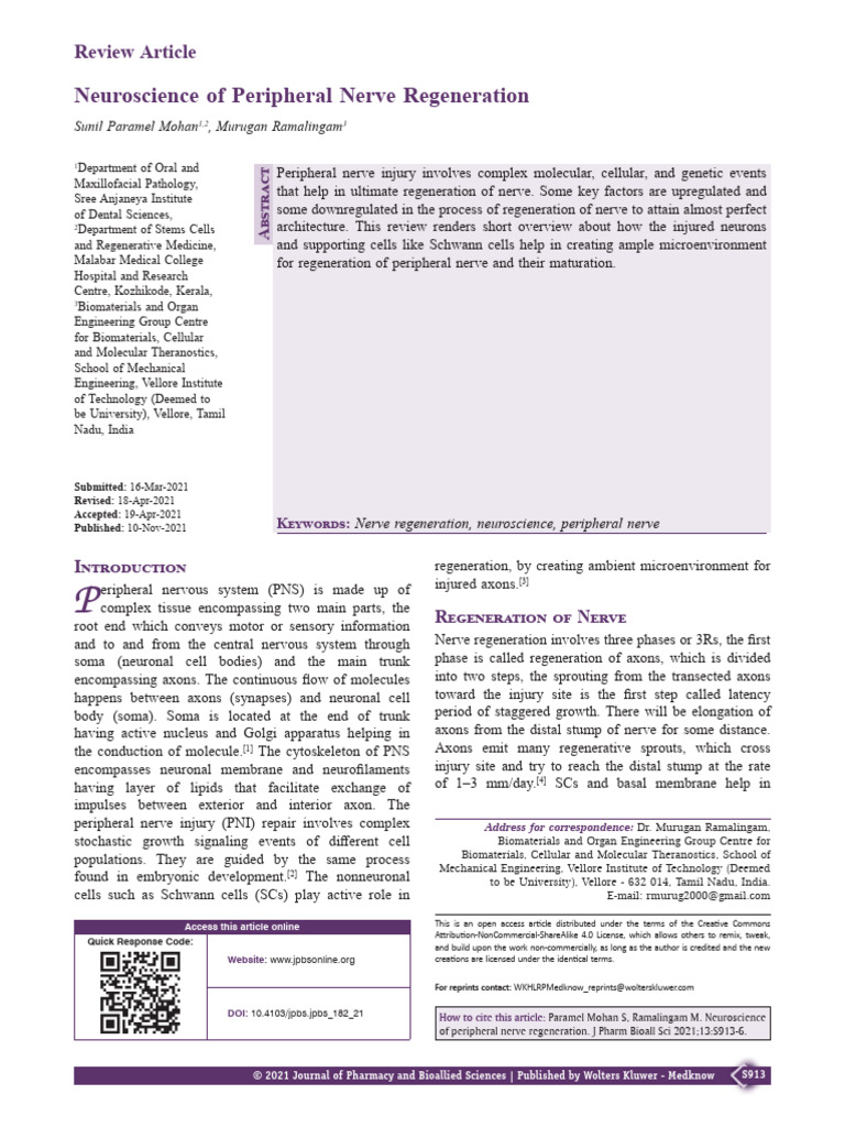 Neuroscience of Peripheral Nerve Regeneration.6 | PDF | Axon | Nerve