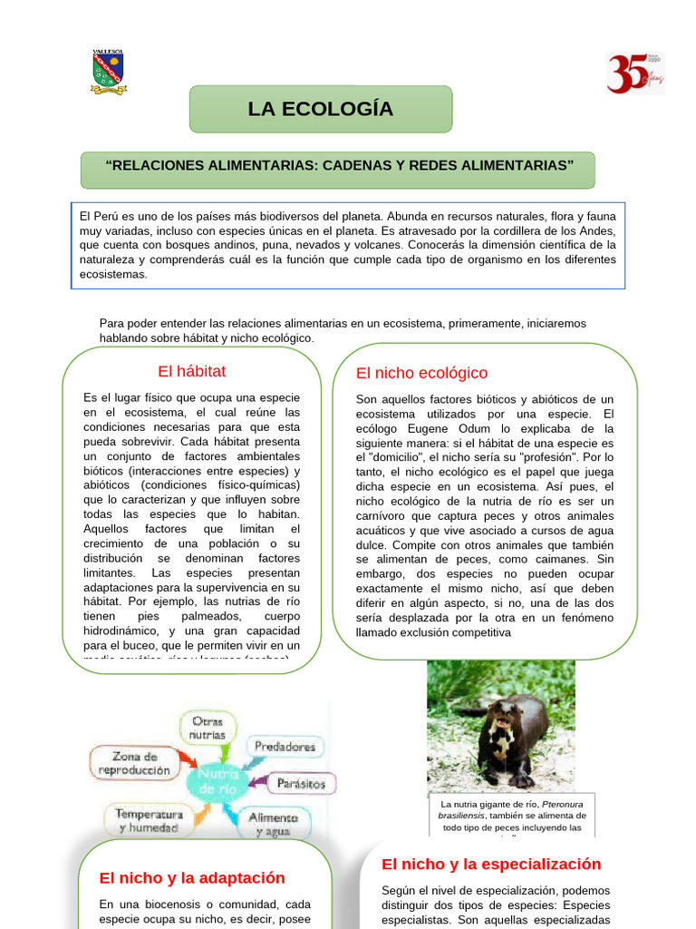 La Ecologia Relaciones Alimentarias- Cadenas y Redes Alimentarias (2 ...