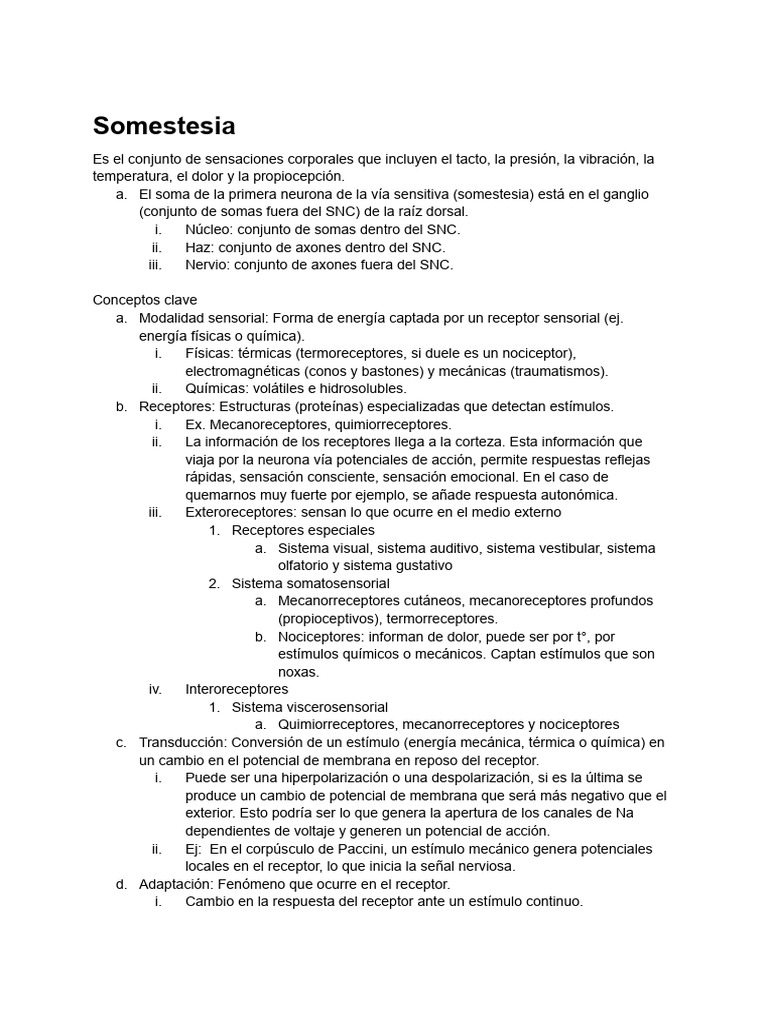 Introducción a la Somestesia y Receptores | PDF | Dolor | Sistema ...