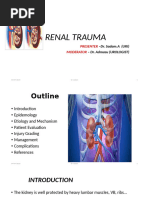 AAST Renal Injury Scale | PDF | Kidney | Injury