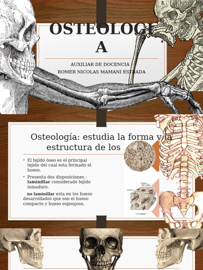 OSTEOLOGIA | PDF