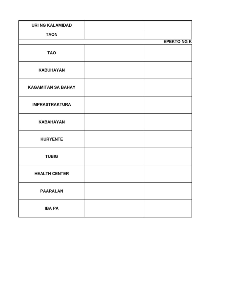 Activity 1 Disaster Timeline Matrix | PDF