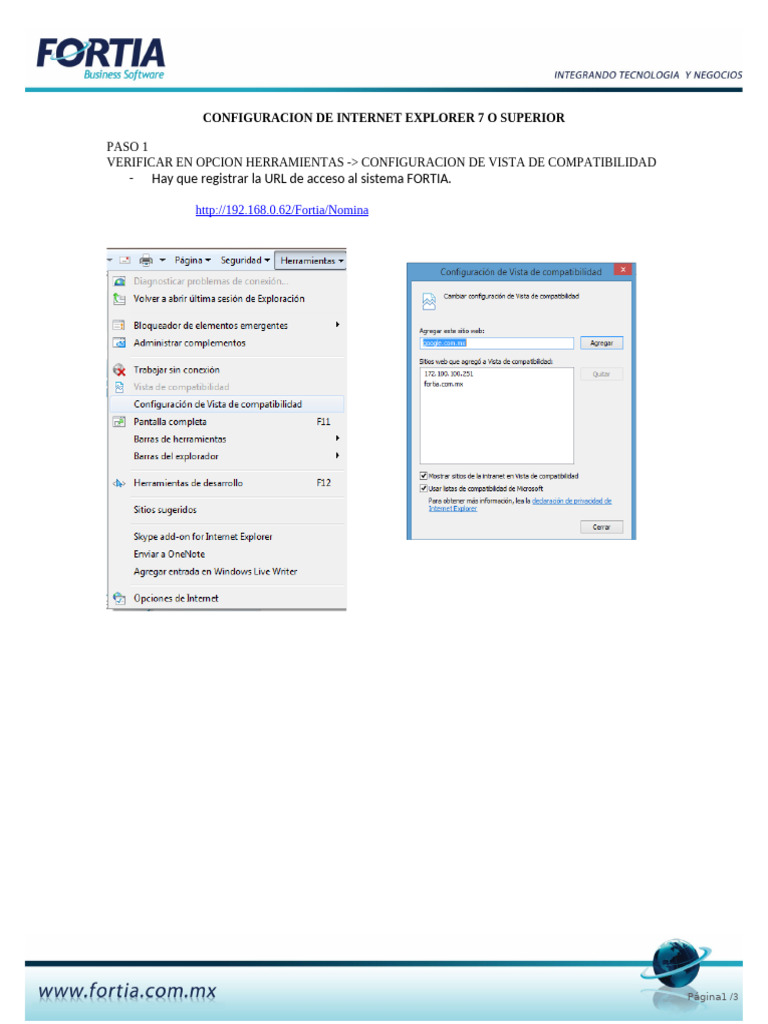 Guia Con Figura C I On Internet Explorer | PDF