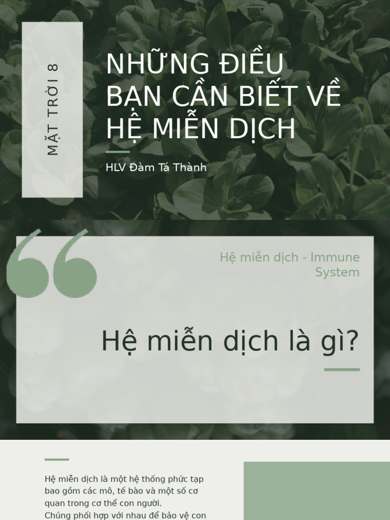 Hệ miễn dịch | PDF