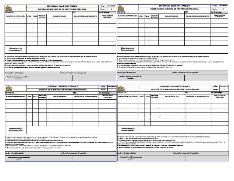 FORMATO DE ENTREGA DE EPP HP INSTALACIONES | PDF | Equipo de protección ...